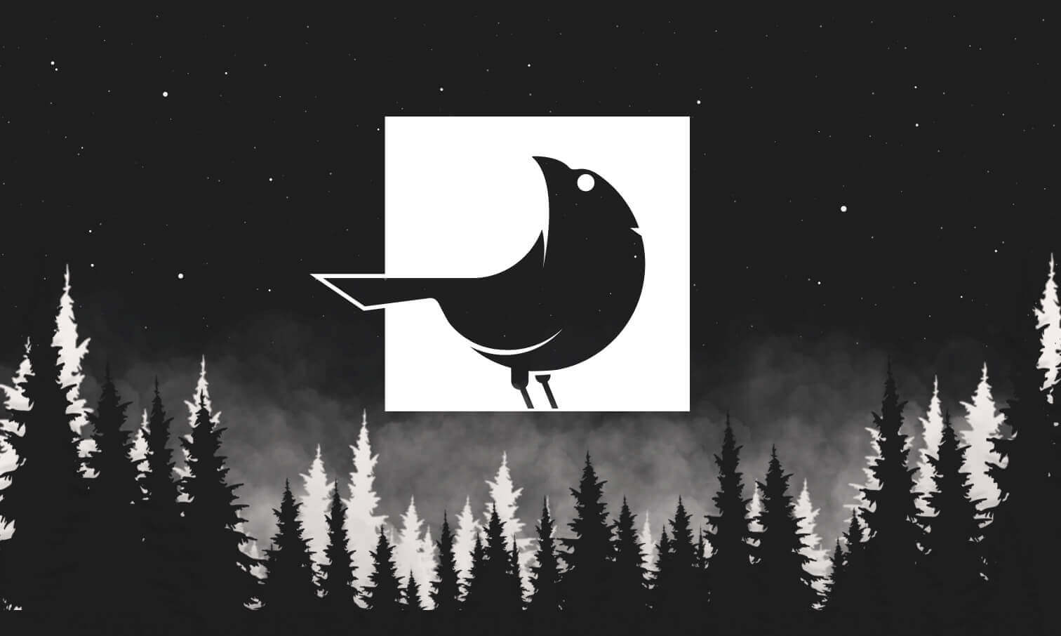 Amsel suite, charte graphique, site vitrine et e-commerce